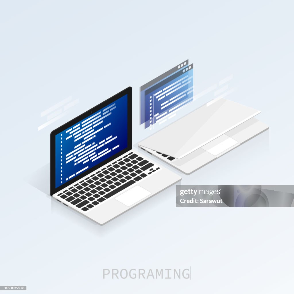 Programmer Coding Binary Computer Isometric Flat Vector High Res Vector