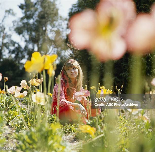 114 Judy Strangis Photos And High Res Pictures Getty Images
