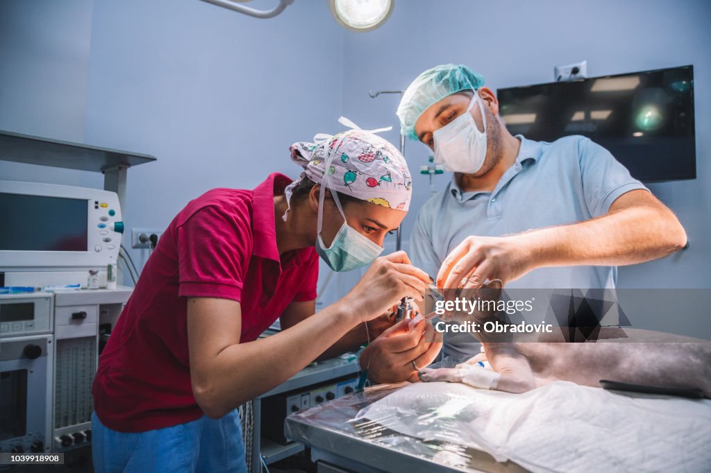 Team Of Surgeons Preparing For Operation High-Res Stock Photo - Getty ... Team Of Surgeons Preparing For Operation High-Res Stock Photo - Getty ...