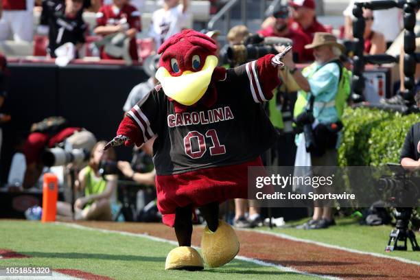 Cocky Mascot Photos And Premium High Res Pictures Getty Images