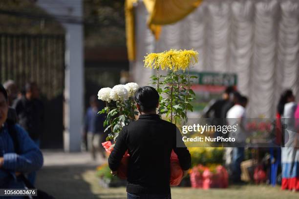 29 Flora Expo 2018 In Kathmandu Stock Photos, High-Res Pictures, and ... 29 Flora Expo 2018 In Kathmandu Stock Photos, High-Res Pictures, and ...