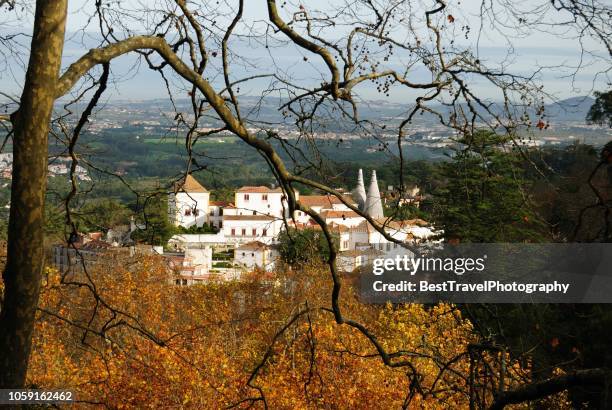 Seasonal Highlights: Why Winter is the Perfect Time for a Sintra Tour