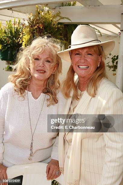Pictures And Photos Getty Images