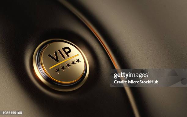 VIP Indicators: What They Are and How They Can Benefit Your Business