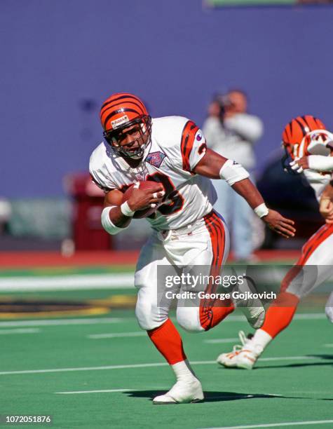 Cincinnati Bengals Steve Broussard Photos and Premium High Res Pictures ... Cincinnati Bengals Steve Broussard Photos and Premium High Res Pictures ...