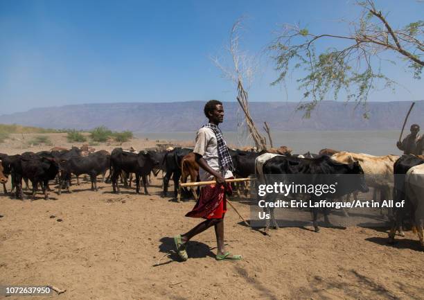 12 Lake Afambo Stock Photos, High-Res Pictures, and Images - Getty Images 12 Lake Afambo Stock Photos, High-Res Pictures, and Images - Getty Images