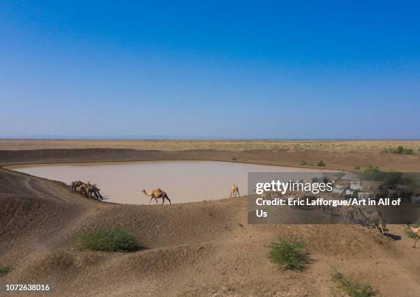 12 Lake Afambo Stock Photos, High-Res Pictures, and Images - Getty Images 12 Lake Afambo Stock Photos, High-Res Pictures, and Images - Getty Images