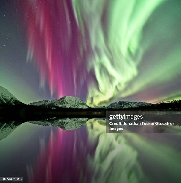 Northern Lights In Yukon Photos And Premium High Res Pictures Getty Images