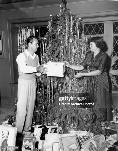 1333 Alan Ladd Photos And High Res Pictures Getty Images