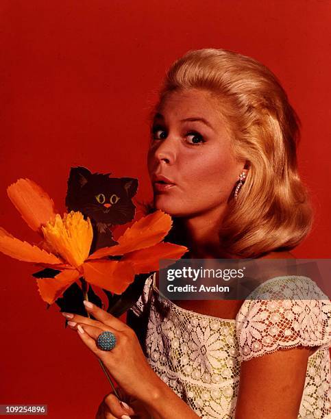 Sandra Dee 1968 Photos And Premium High Res Pictures Getty Images