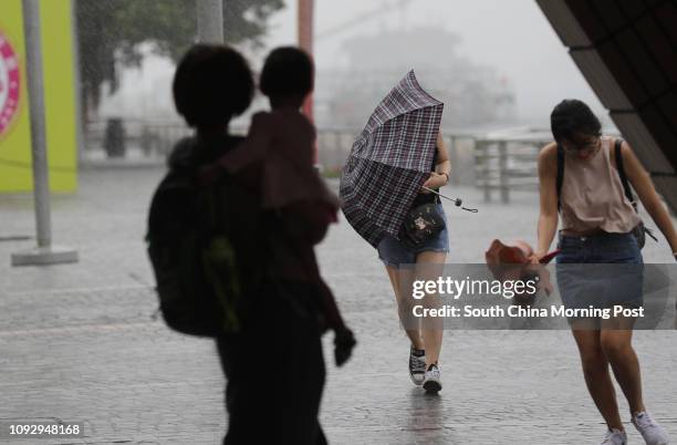 Strong Wind Signal No 3 Photos And Premium High Res Pictures Getty Images