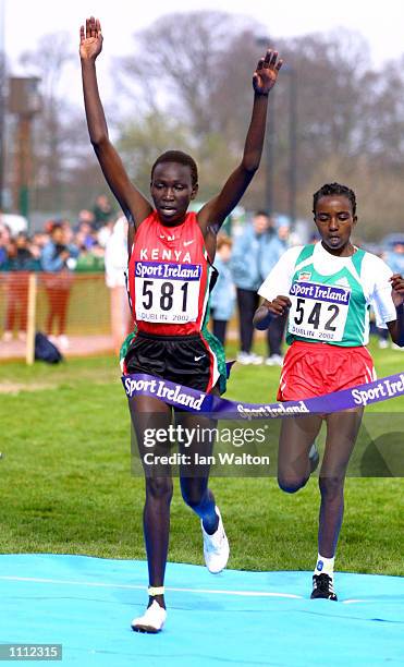 67 2002 Iaaf World Cross Country Championships Photos & High Res ... 67 2002 Iaaf World Cross Country Championships Photos & High Res ...