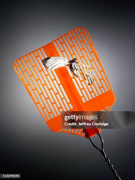 Swatting Insect Photos and Premium High Res Pictures - Getty Images Swatting Insect Photos and Premium High Res Pictures - Getty Images