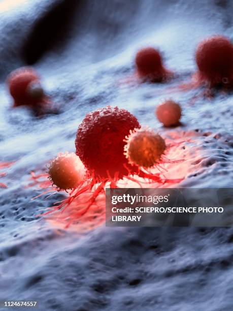 Illustrations, cliparts, dessins animés et icônes de Macrophages Cancer ... Illustrations, cliparts, dessins animés et icônes de Macrophages Cancer ...