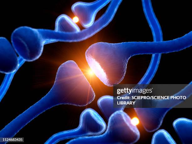588 Neurotransmitter Brain Stock Photos, High-Res Pictures, and Images ... 588 Neurotransmitter Brain Stock Photos, High-Res Pictures, and Images ...