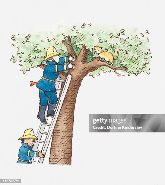 Rescuing Cat Tree Photos et images de collection - Getty Images Rescuing Cat Tree Photos et images de collection - Getty Images