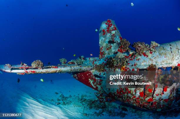 354 Crash Boats Of World War Ii Stock Photos, High-Res Pictures, and ... 354 Crash Boats Of World War Ii Stock Photos, High-Res Pictures, and ...