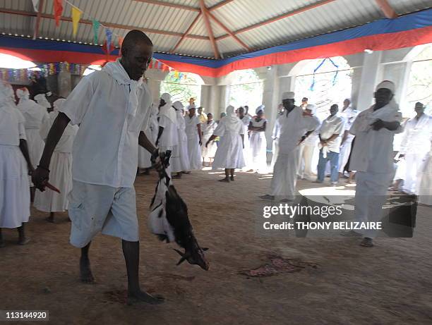 Easter Goats Photos And Premium High Res Pictures Getty Images