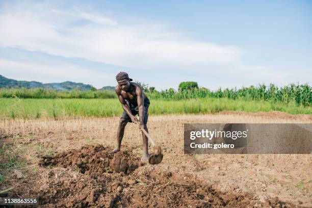 Seasonal Farming Tips: Preparing Your Ghanaian Farm for the Dry Season