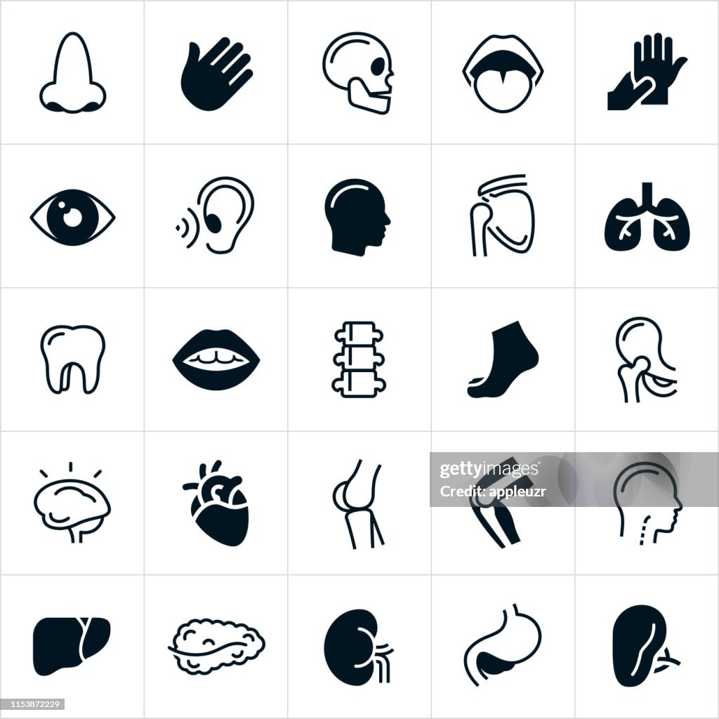 Human Body Parts Icons High Res Vector Graphic Getty Images