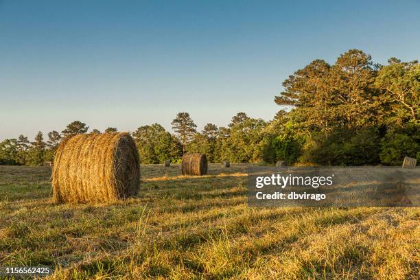 Seasonal Tips for Maintaining Top Quality Hay on Your Ranch