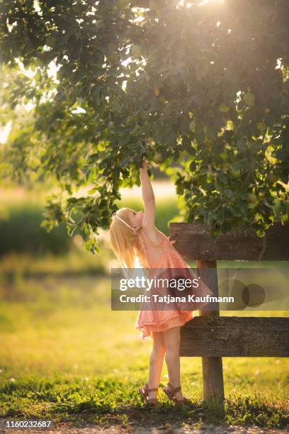 Standing On Tip Toes Photos And Premium High Res Pictures Getty Images