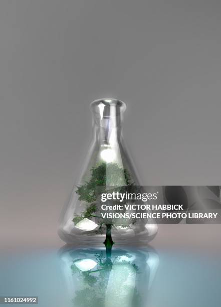 Empty Conical Flask Photos and Premium High Res Pictures - Getty Images Empty Conical Flask Photos and Premium High Res Pictures - Getty Images