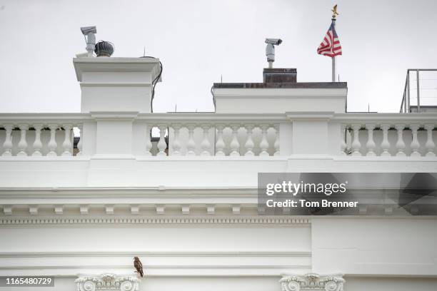 The White House Pillars Photos Et Images De Collection Getty Images