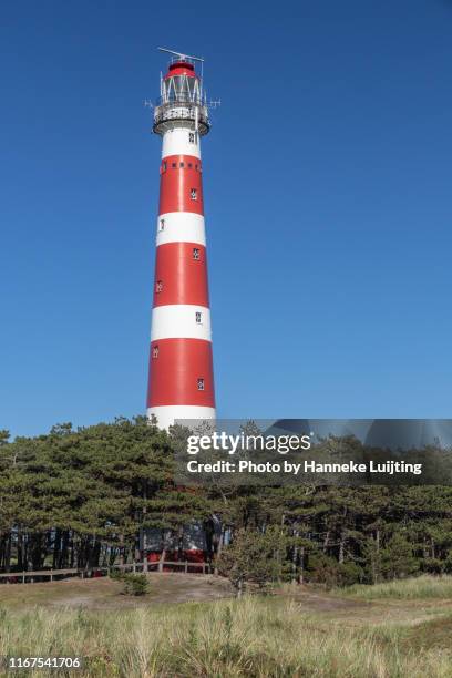 Bornrif Photos And Premium High Res Pictures Getty Images