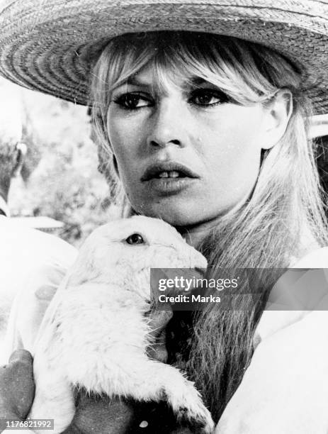 Brigitte Bardot 1960 Photos And Premium High Res Pictures Getty Images