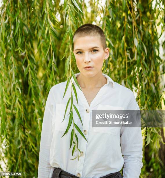 White Weeping Willow Tree Photos And Premium High Res Pictures Getty Images