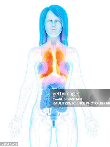 Copd High Res Illustrations - Getty Images Copd High Res Illustrations - Getty Images