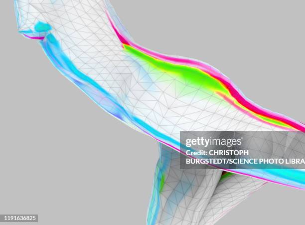 24 Female Body Mesh High Res Illustrations - Getty Images 24 Female Body Mesh High Res Illustrations - Getty Images