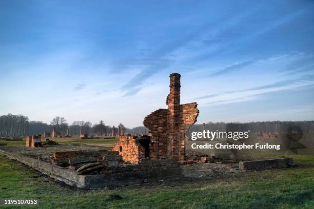 75th Auschwitz Photos et images de collection - Getty Images 75th Auschwitz Photos et images de collection - Getty Images