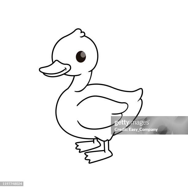 Duck Feet Clip Art Photos And Premium High Res Pictures Getty Images