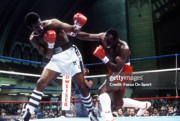 Dwight Muhammad Qawi Photos Photos and Premium High Res Pictures ... Dwight Muhammad Qawi Photos Photos and Premium High Res Pictures ...