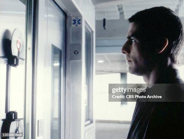 Tom Cruise Steven Spielberg 2002 Photos And Premium High Res Pictures