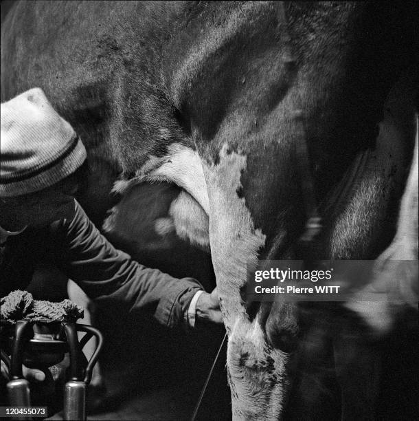 Squirt Milk Photos And Premium High Res Pictures Getty Images
