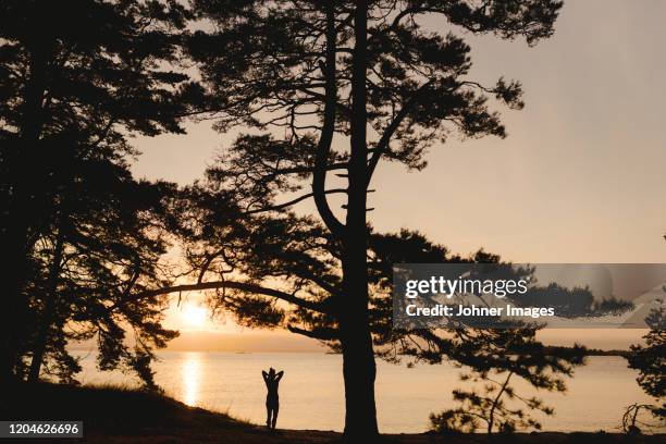 Women Showering Silhouette Photos And Premium High Res Pictures Getty