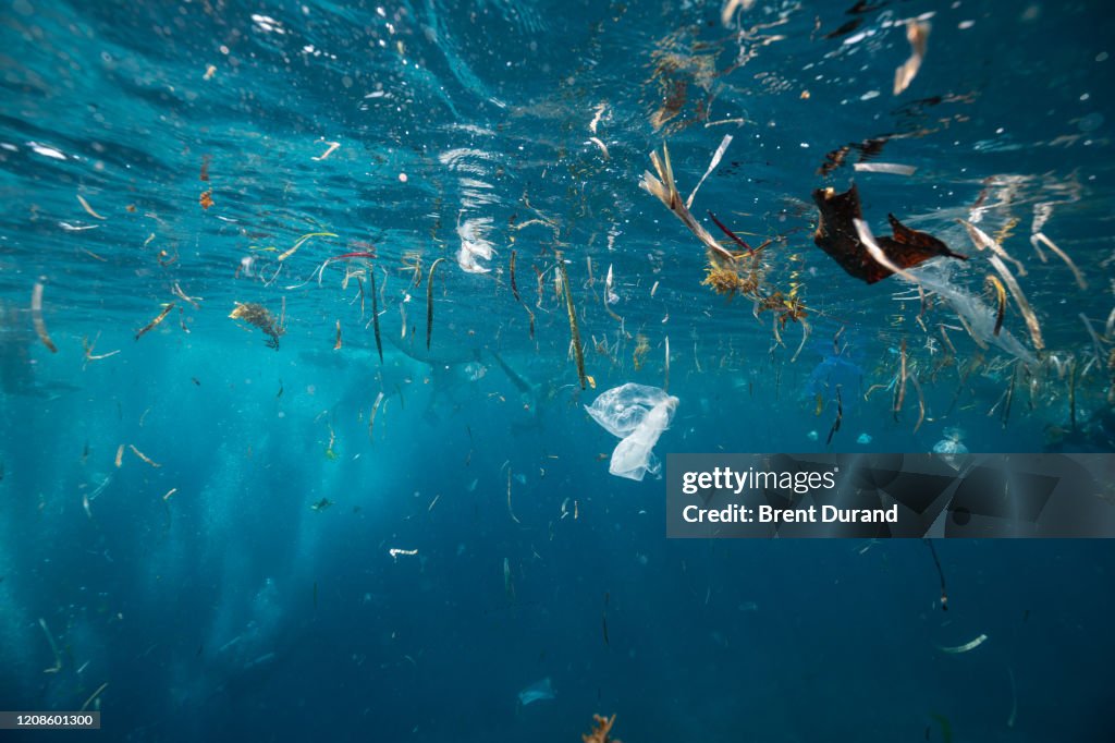 Plastic Trash Garbage Underwater High-Res Stock Photo - Getty Images Plastic Trash Garbage Underwater High-Res Stock Photo - Getty Images