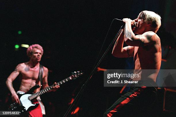 130 Anthony Kiedis 1999 Photos And High Res Pictures Getty Images