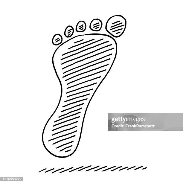 Human Foot Drawing