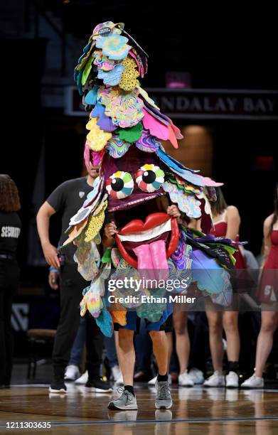 Stanford Mascot Tree Photos and Premium High Res Pictures - Getty Images Stanford Mascot Tree Photos and Premium High Res Pictures - Getty Images