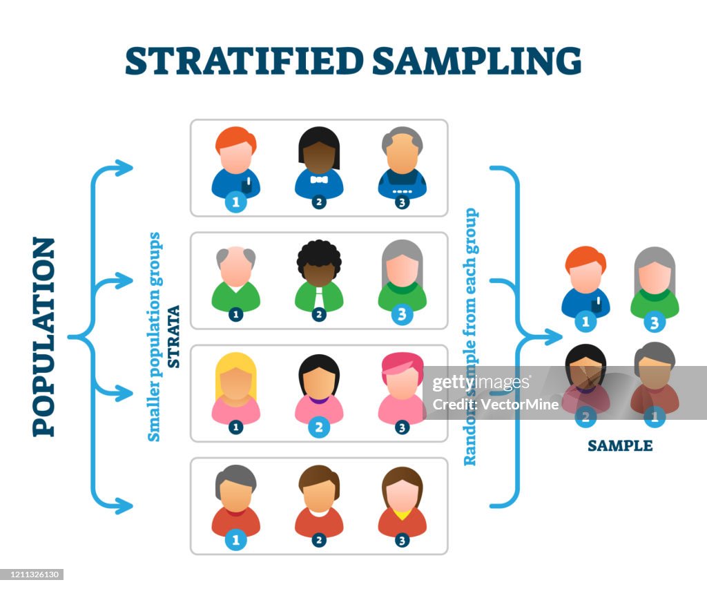 Stratified Sampling Example Vector Illustration Diagram High Res Vector