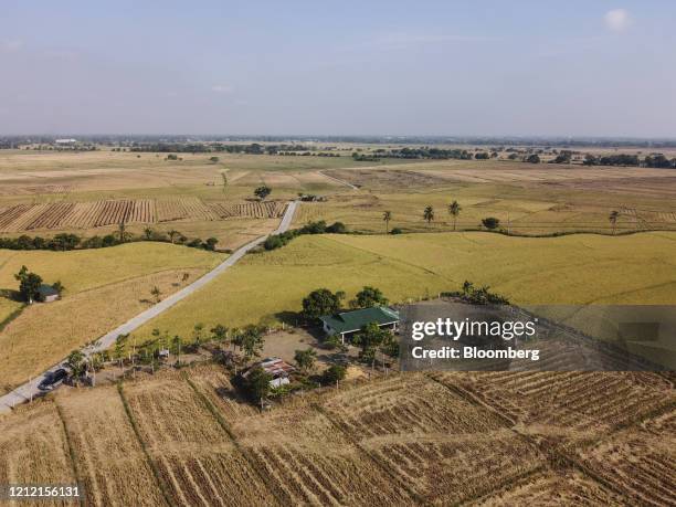 San Leonardo Nueva Ecija Photos and Premium High Res Pictures - Getty ... San Leonardo Nueva Ecija Photos and Premium High Res Pictures - Getty ...