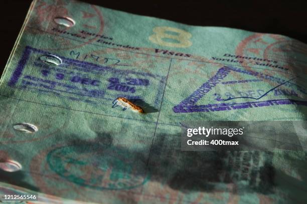 Torn Passport Photos And Premium High Res Pictures Getty Images
