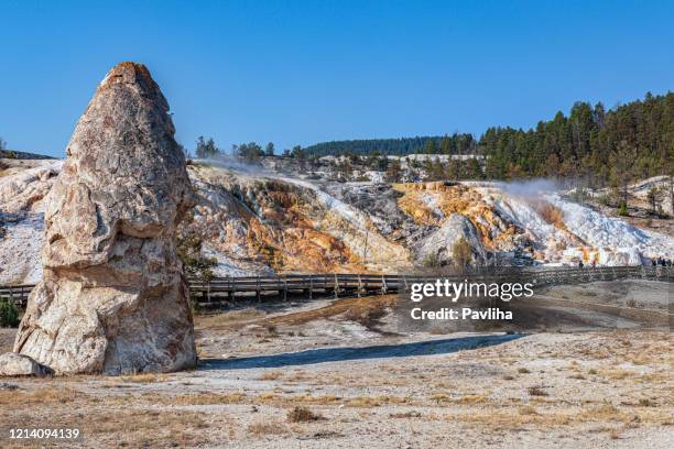 Geothermal flow of hot, carbonate rich water, forms cascading, dark ...