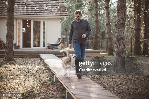 Newer Alone When You Have Dog High-Res Stock Photo - Getty Images Newer Alone When You Have Dog High-Res Stock Photo - Getty Images