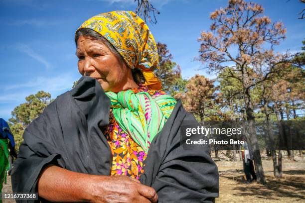 35 Tarahumara Dwelling Stock Photos, High-Res Pictures, and Images ... 35 Tarahumara Dwelling Stock Photos, High-Res Pictures, and Images ...