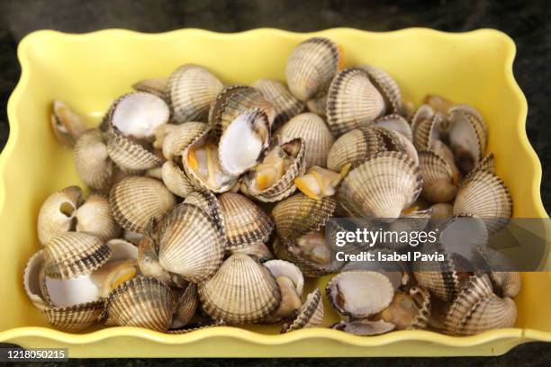 Cockles Photos And Premium High Res Pictures Getty Images